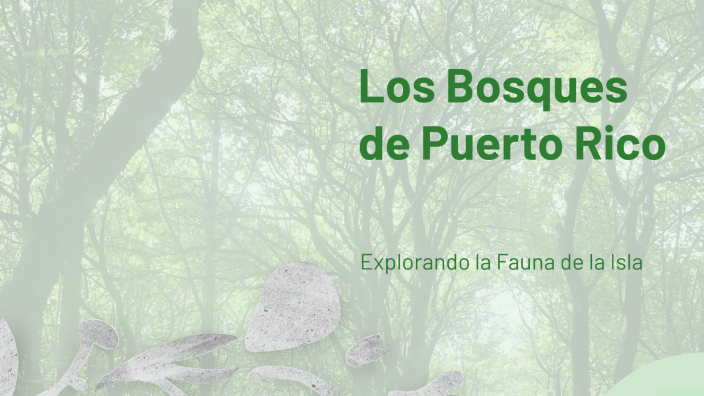 Los Bosques de Puerto Rico by Benny Chaparro on Prezi