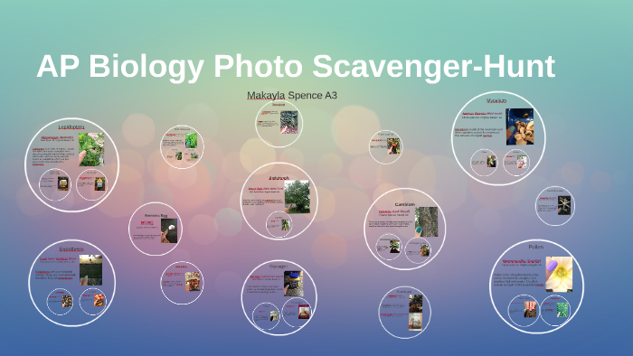 AP Biology Photo Scavenger-Hunt by Makayla Spence on Prezi
