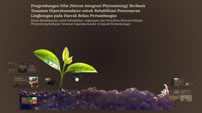 Pengembangan Sifat (Sistem Integrasi Phytomining) Berbasis Tanaman ...