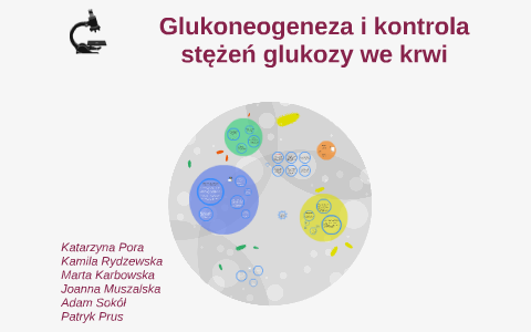 Glukoneogeneza i kontrola stężeń glukozy we krwi by Aleksandra Bazylak ...
