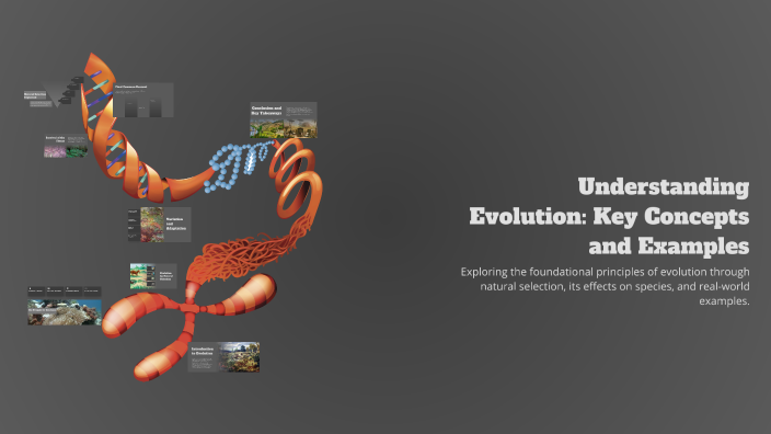 Understanding Evolution: Key Concepts and Examples by Bassel Taha on Prezi