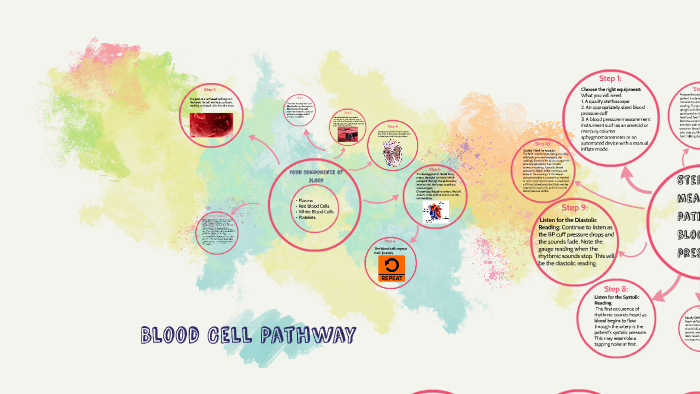 Blood Cell Pathway by C'kira 0 Daniels on Prezi