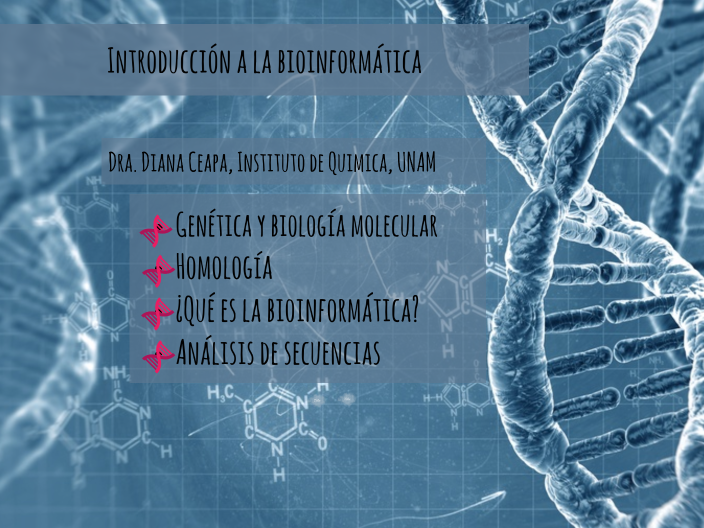 Bioinformatics 1 by Corina-Diana Ceapa on Prezi