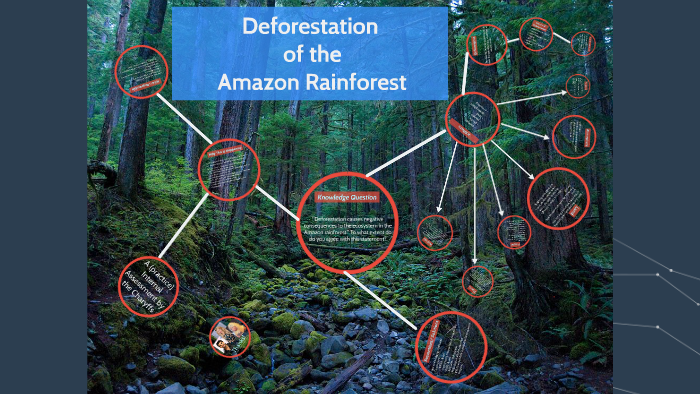 Deforestation of Earth's Rainforests by Charity Rose on Prezi