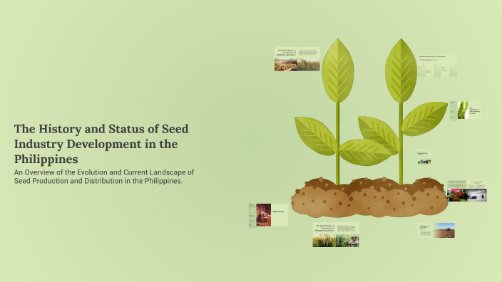 The History and Status of Seed Industry Development in the Philippines ...
