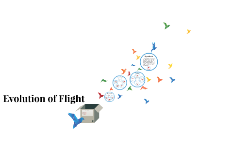 Evolution of Flight in Birds by Adrian Galash on Prezi