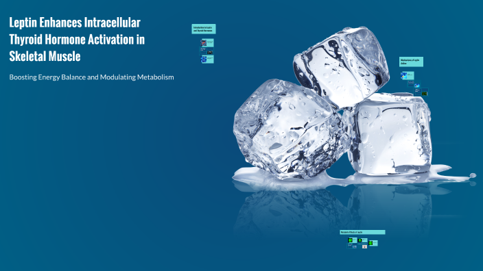 Leptin Enhances Intracellular Thyroid Hormone Activation in Skeletal Muscle by caterina miro on ...