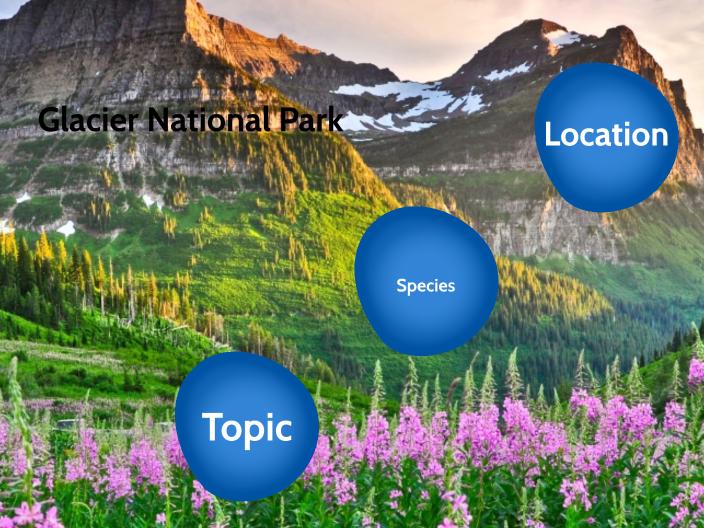 Glacier National Park by gavin dunlap on Prezi
