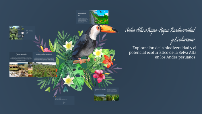 Selva Alta o Rupa-Rupa: Biodiversidad y Ecoturismo by QUEREVALU ...