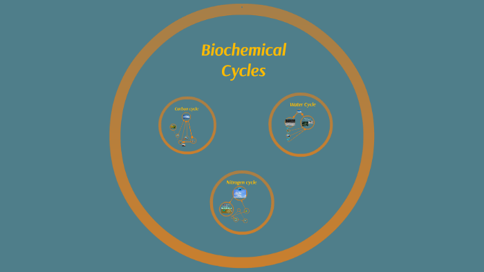 Biochemical cycles project by joseph williams on Prezi