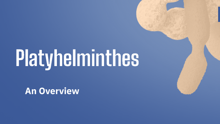 Platyhelminthes by Thomas Mehlhoff on Prezi