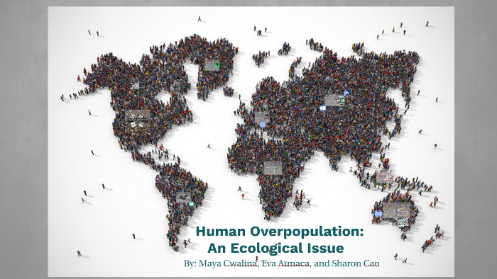 Overpopulation Project by Maya Cwalina on Prezi