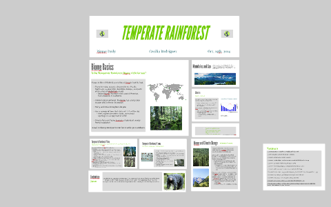 Temperate Rainforest Biome Travel Brochure by Cecilia Rodriguez on Prezi