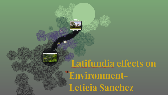 Latifundia effects on Environment by Leticia Sanchez on Prezi