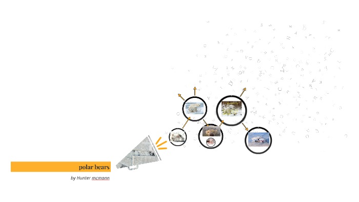 polar bears by hunter mcmann on Prezi