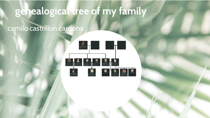 genealogical tree of my family by ana maria jaramillo on Prezi