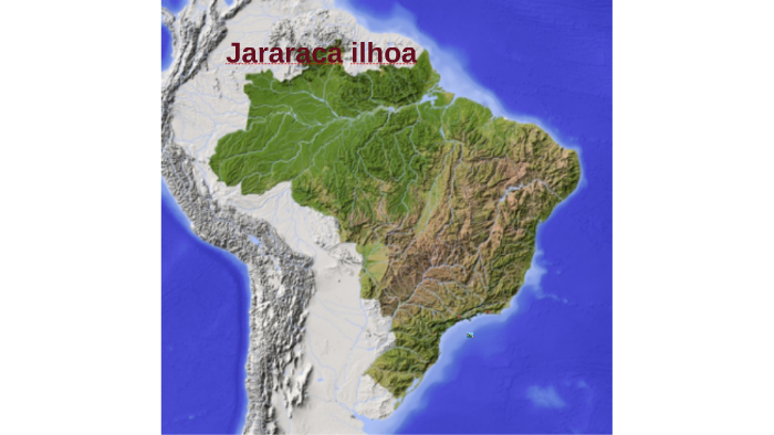 Jararaca ilhoa by jubileu josoares on Prezi