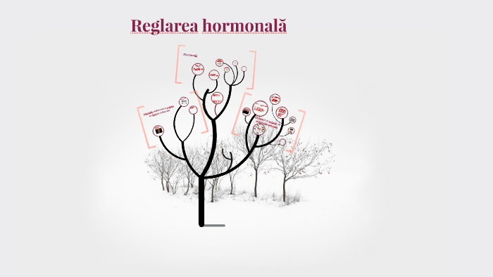 Reglarea hormonală by Daniela Placinta on Prezi