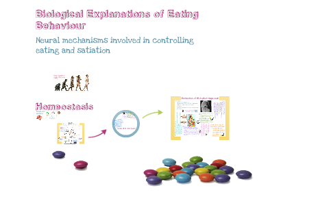 Biological Explanations of Eating Behaviour by Danielle Weston on Prezi