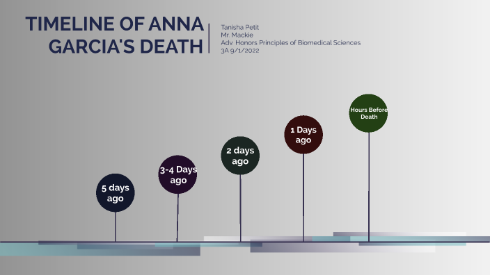 Timeline of Digital Evidence of the Case of Anna Garcia by Sayir Petit ...
