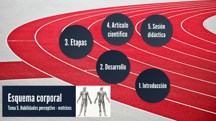 Esquema corporal by JUAN MAR A CARRASCO G MEZ on Prezi