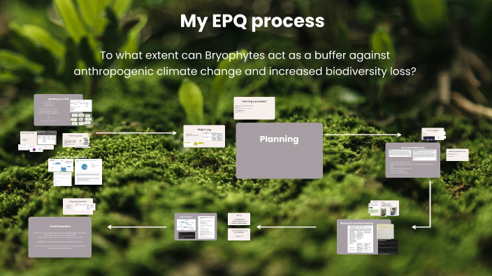 EPQ Process by Anastasia Lemon on Prezi