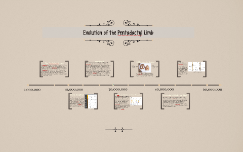 Evolution of the Pentadactyl Limb by Jess Hurst on Prezi