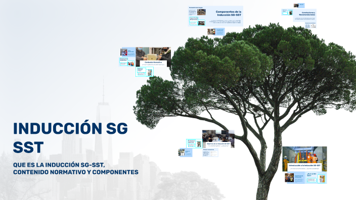 INDUCCIÓN SG SST by Jeimmy Sosa on Prezi