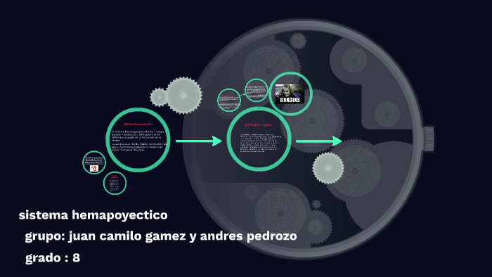 El sistema hematopoyético (Hema = sangre, poyesis = producci by Juan ...