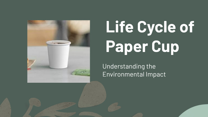 Life Cycle of Paper Cup by Adriana Hernandez on Prezi