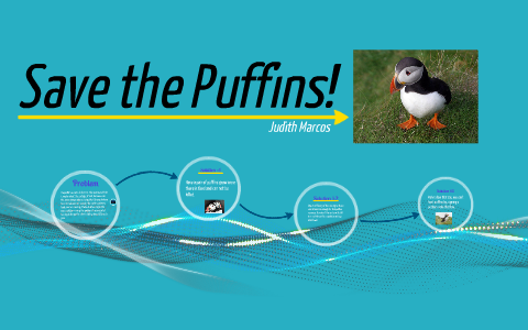 Save the Puffins by Judith Marcos on Prezi