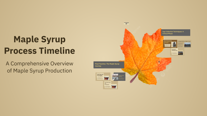Maple Syrup Process Timeline by Maeve on Prezi