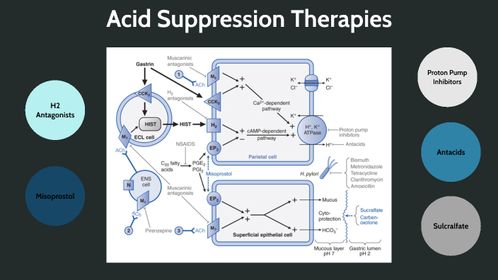 Acid Suppression Therapy by Cali Loblundo on Prezi