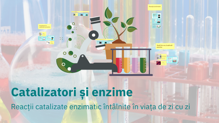 Catalizatori și enzime by elena toma on Prezi