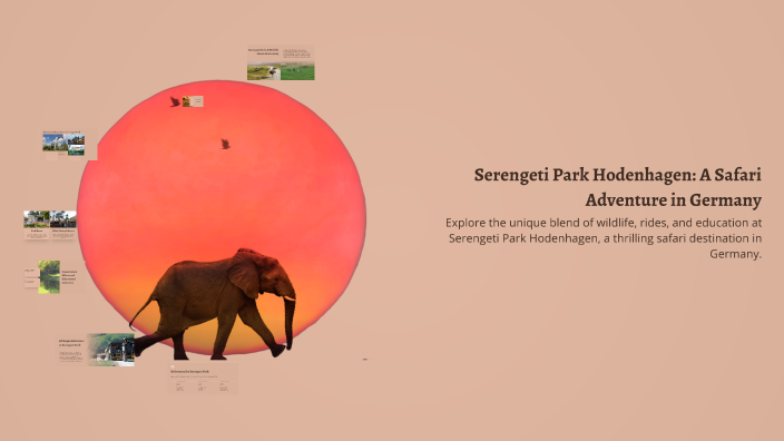 Serengeti Park Hodenhagen: A Safari Adventure in Germany by Antonina ...