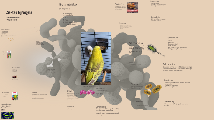 Ziektes bij Vogels by Kilian Hoeving on Prezi