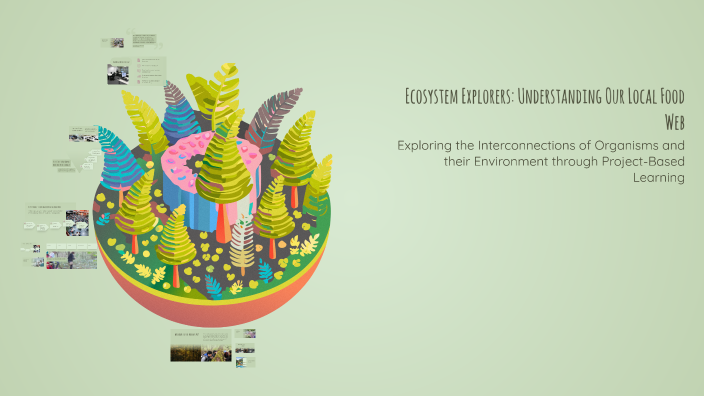 Ecosystem Explorers: Understanding Our Local Food Web by Kenya ...