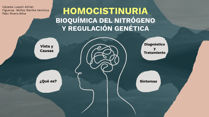 Homocistinuria by Aline Paez on Prezi