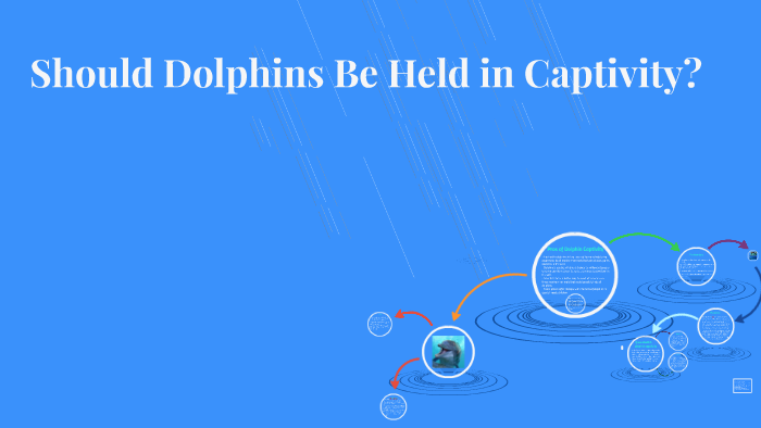 Should Dolphins Be Held in Captivity? by kaitlyn tarlton on Prezi
