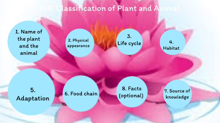 Classification of plant and animal by Vedant Trivedi on Prezi