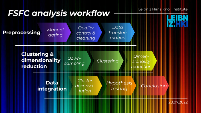 FSFC analysis pipeline workflow by Nacho Garcia on Prezi
