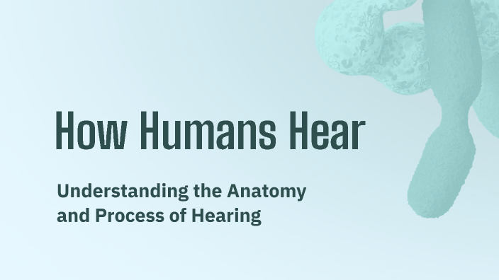 How Humans Hear by Nicole Kent on Prezi