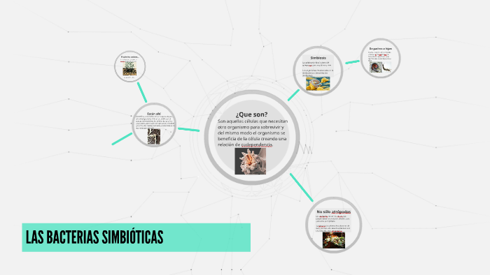 Las bacterias Simbioticas by Juan José Abenza del Amo on Prezi