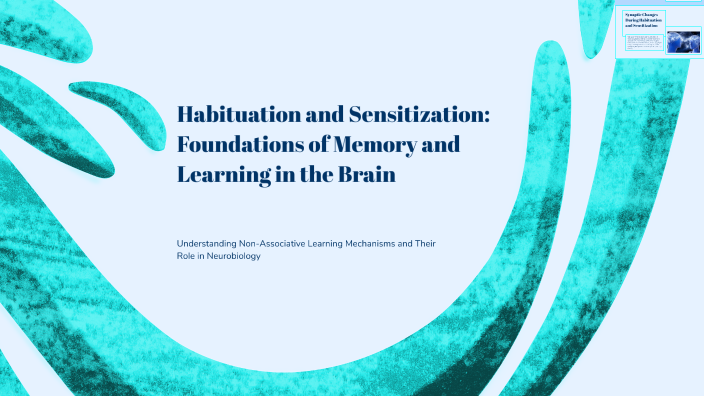 Habituation and Sensitization: Foundations of Memory and Learning in ...