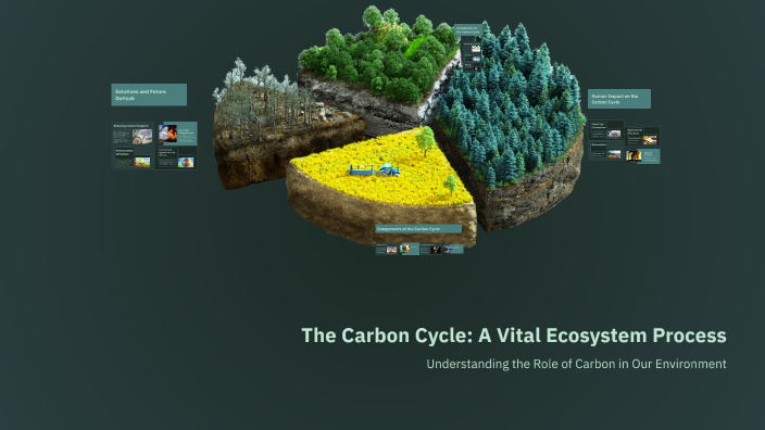 The Carbon Cycle: A Vital Ecosystem Process by Muhammad Nauman on Prezi