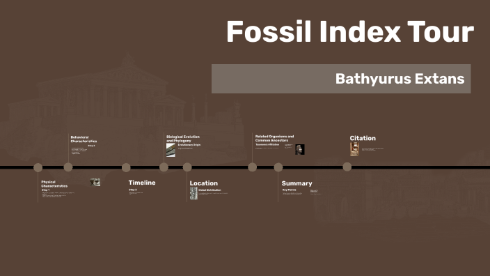 Bathyurus Extans by Elizabeth Gatlin on Prezi