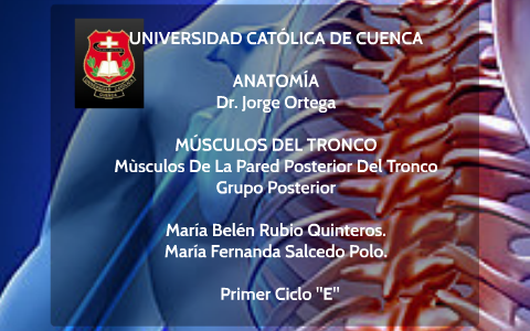 MÚSCULOS DE LA PARED POSTERIOR DEL TRONCO by Mafer Salcedo on Prezi