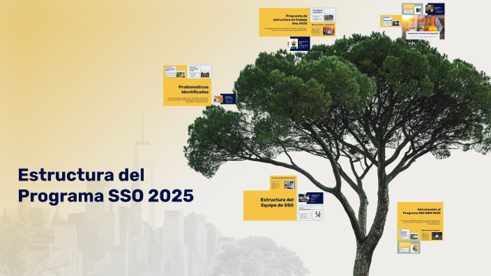 Estructura del Programa SSO 2025 by Cesar Cañete Morales on Prezi