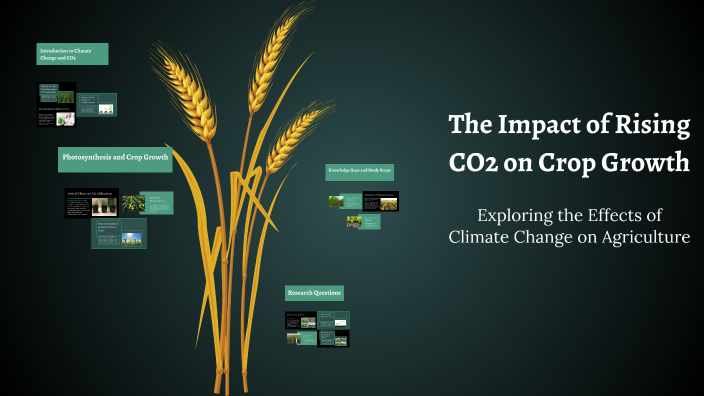 The Impact of Rising CO2 on Crop Growth by yuyu kifled on Prezi