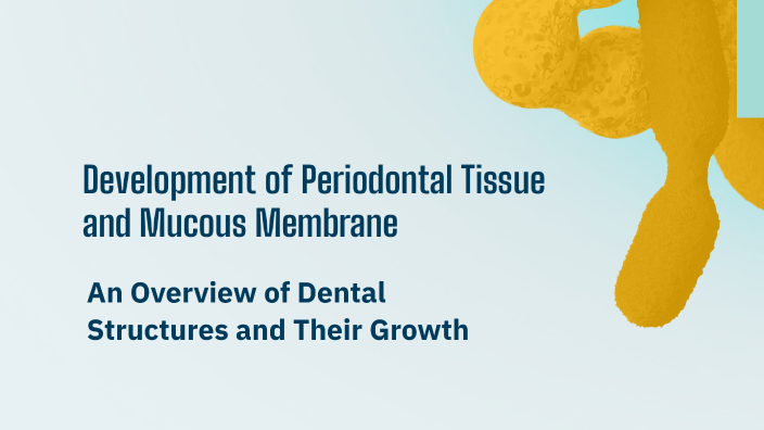 Development of Periodontal Tissue and Mucous Membrane by Юлия Губина on ...